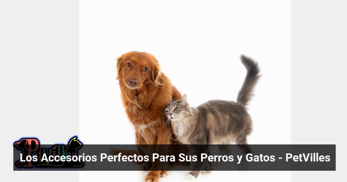 Los Accesorios Perfectos Para Sus Perros y Gatos - PetVilles