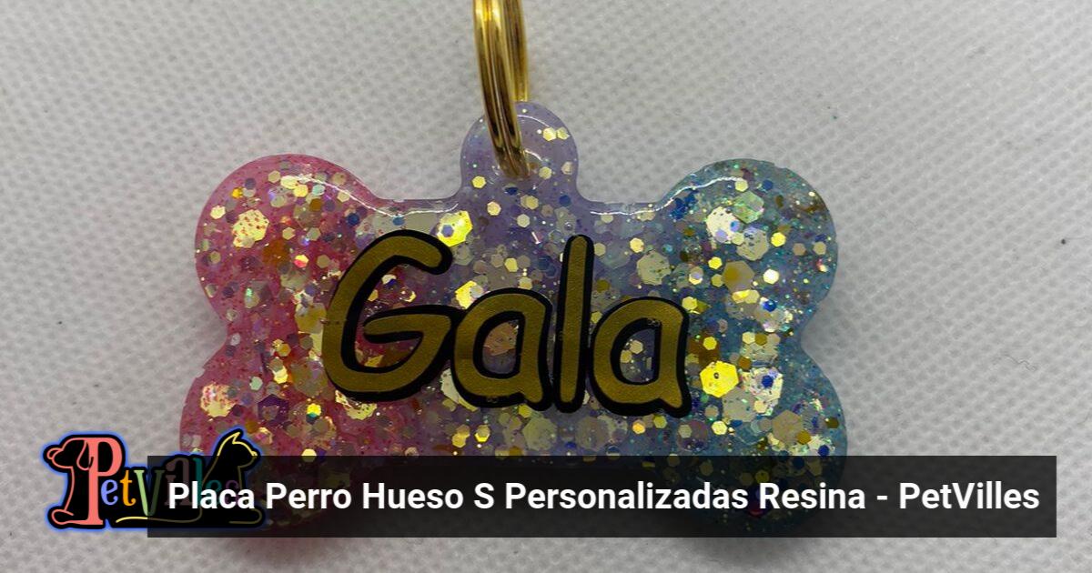 Placa Perro Hueso S Personalizadas Resina - PetVilles