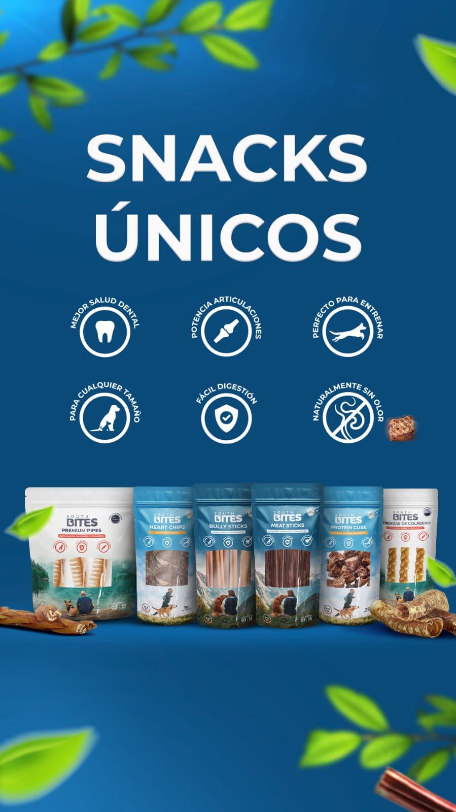 Snack Perro Protein Cube - PetVilles